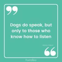 53 Best Dog Sayings & Quotes (Funny & Short)