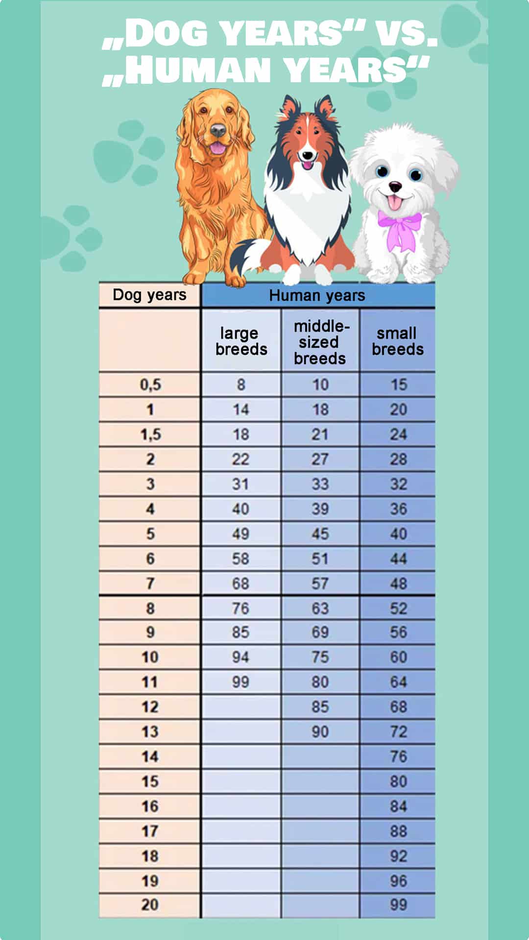 How old do dogs live? (Life expectancy in table)