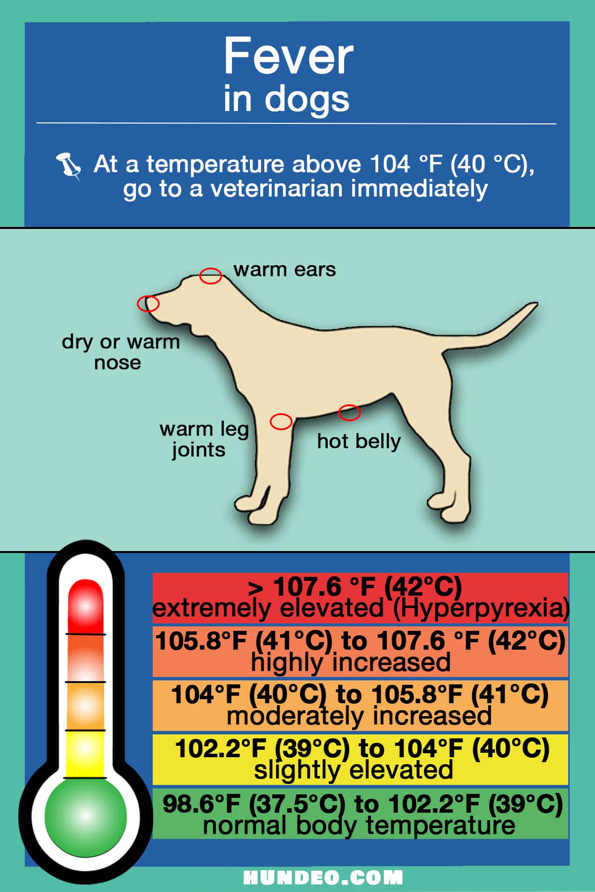 Fever in the dog? (What is important in an emergency!)