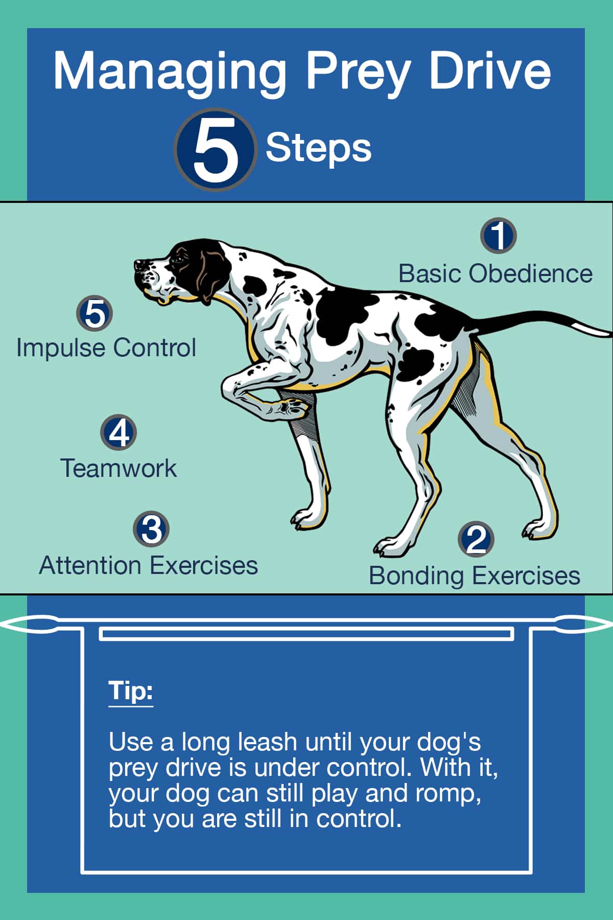 How to Reduce High Prey Drive in Dog