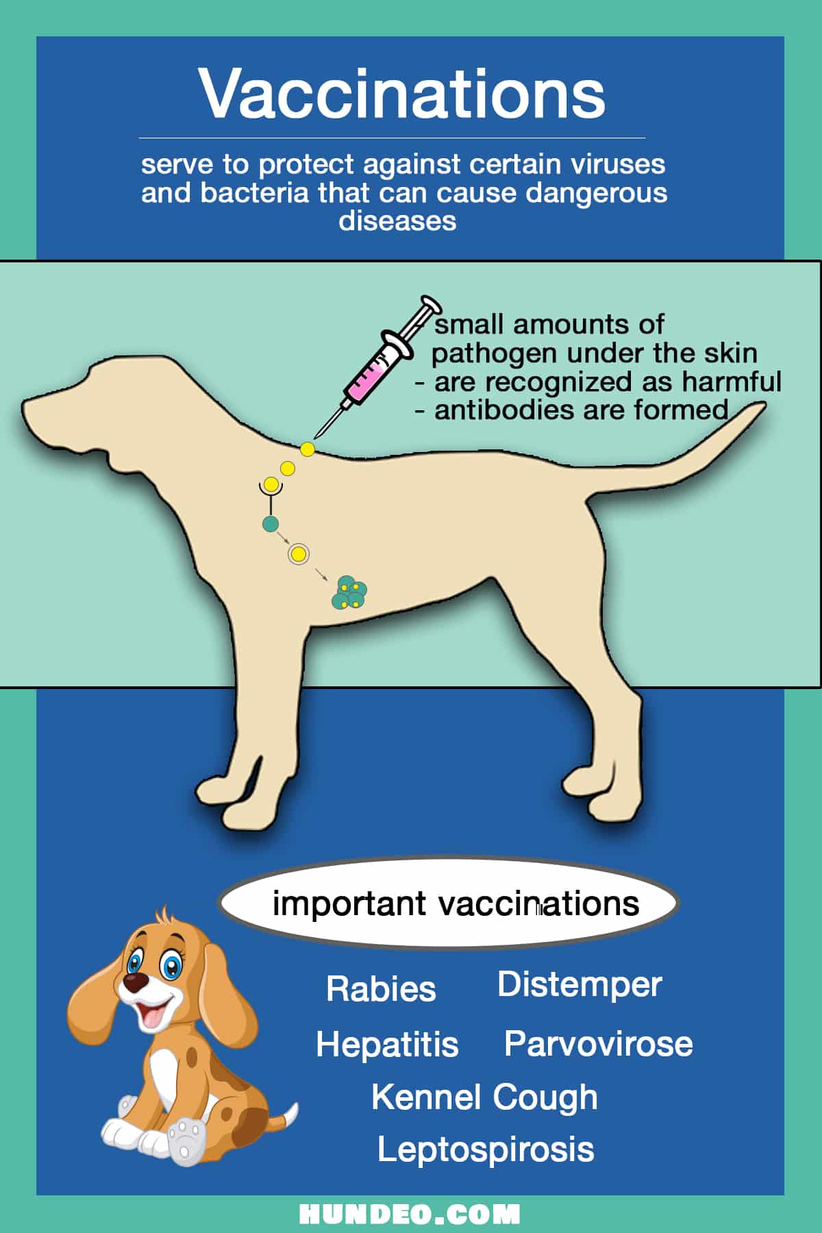 The 7 most important vaccinations for your dog