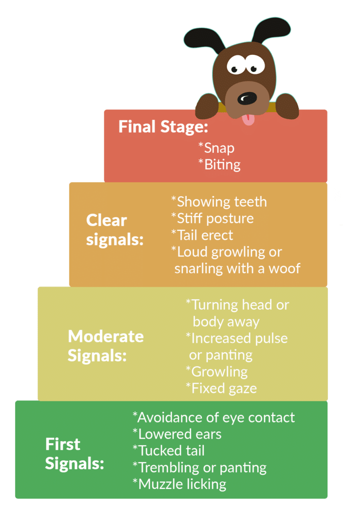 Why Does My Dog Bite Me? (5 Causes)