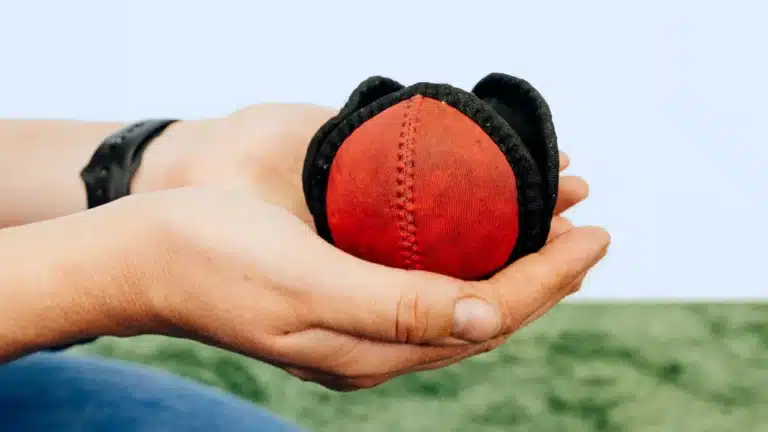 How to Teach Your Dog to Fetch in 5 Easy Steps