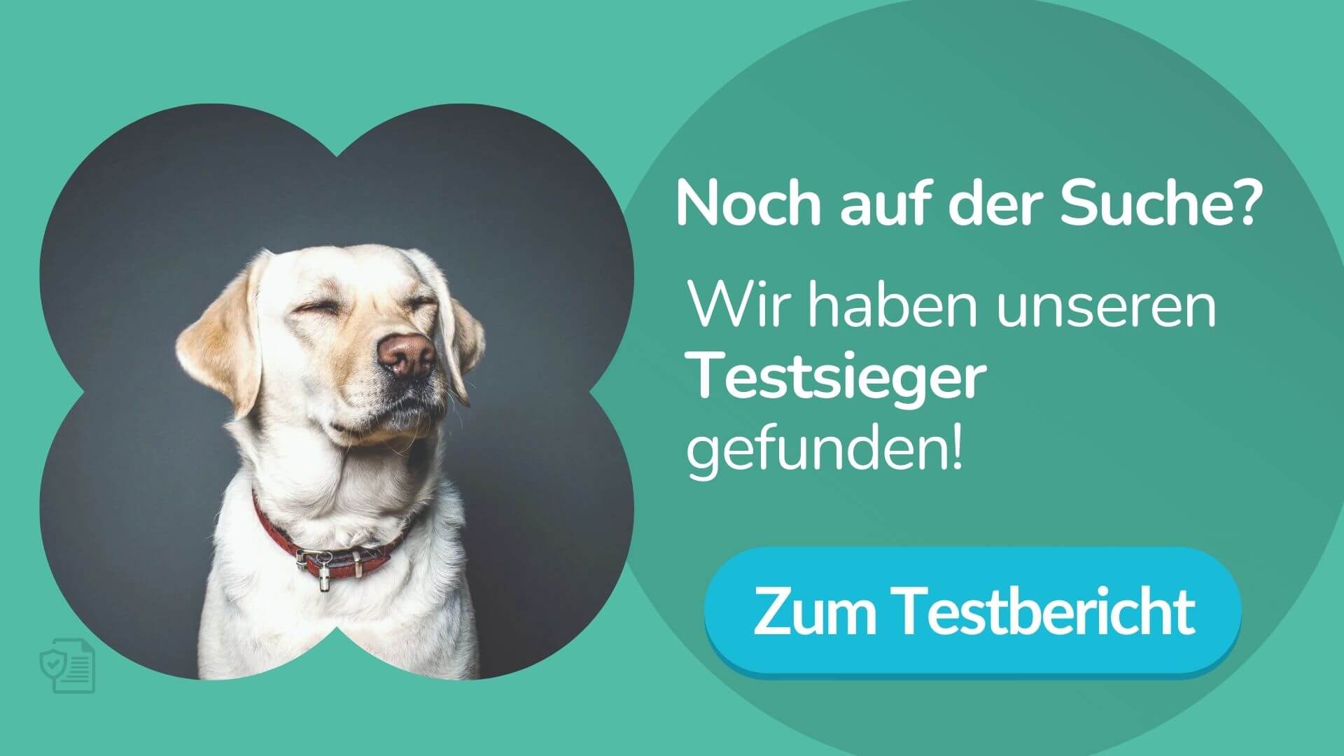 Petolo Hundeversicherung im Test 2025